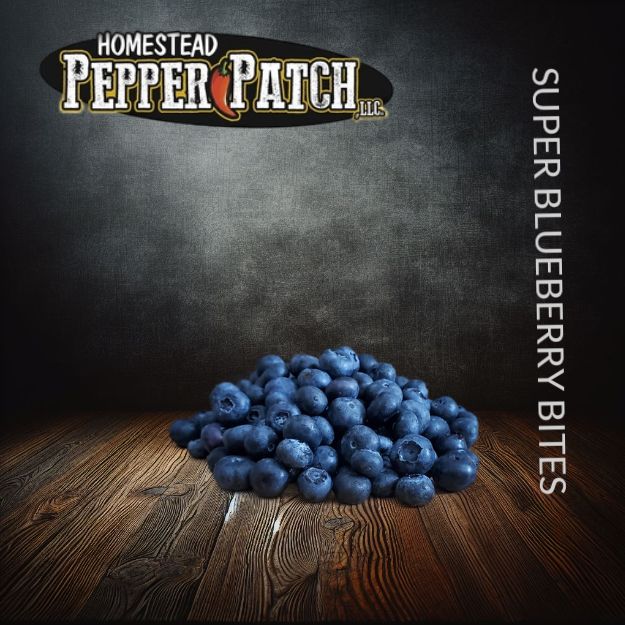 FREEZE DRIED SUPER BLUEBERRY BITES – Homestead Pepper Patch LLC